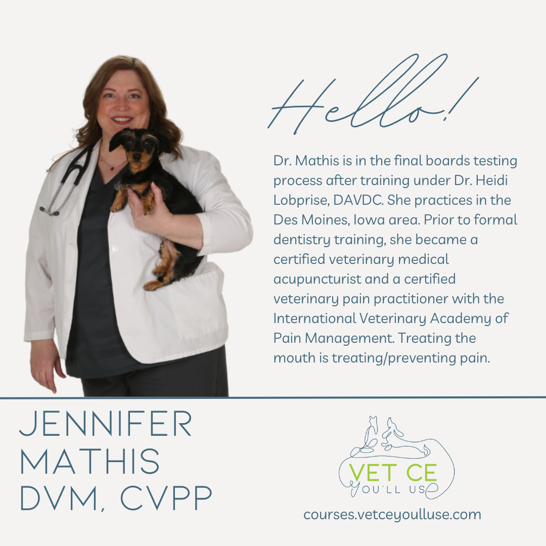 RSVP - April 4th, 2024 - To Save or Not to Save?